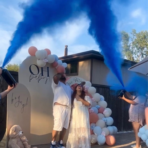 Gender Reveal Powder Blaster - Etsy