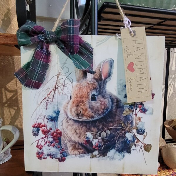 Cute Raccoon Clipart - 15 High Quality Pngs, Digital Download, Card ...