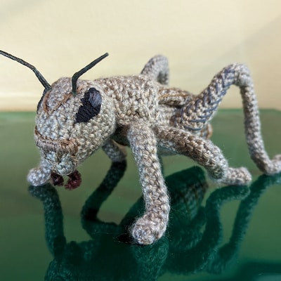 Praying Mantis Crochet Pattern - Etsy