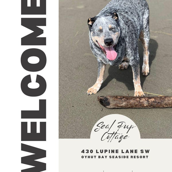 Airbnb Septic Sign | Printable Septic Rules Sign | Editable Canva ...