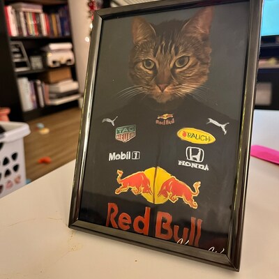 Mercydes, Formula Racing Car, Funny Pet Lover Gift, F1 Driver Team Pet ...