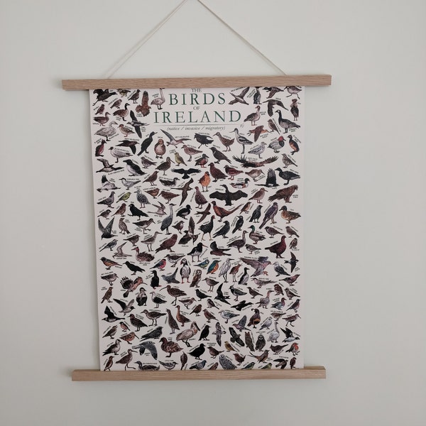 The Birds of Ireland - Hand-illustrated / Irish Wildlife Educational ...