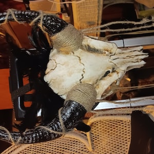 Ram Horn Skull Pagan Viking Ritual Skull Witchcraft Skull Deer Antler ...