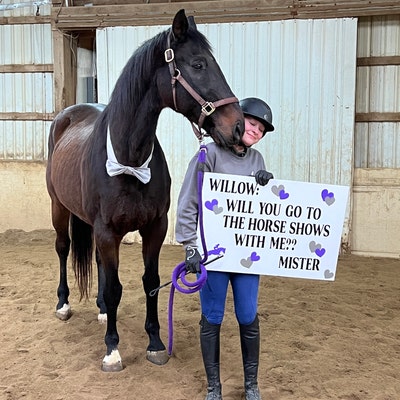 Crinet Crest of Neck Foam Armor for Horses or Ponies Criniere Medieval ...