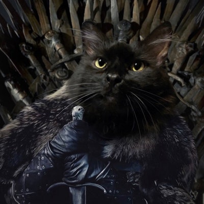 Custom Game of Throne Pet Portrait . Jon Snow Iron Throne . Custom Iron ...