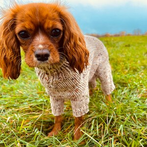 Dog Harness / Dog Collar / Cat Harness / Knitted Harness / | Etsy