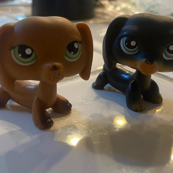 Littlest Pet Shop LPS Teal Zippered Soft Vinyl Carrying Case Collector ...