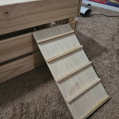 Guinea Pig Ramp - Etsy