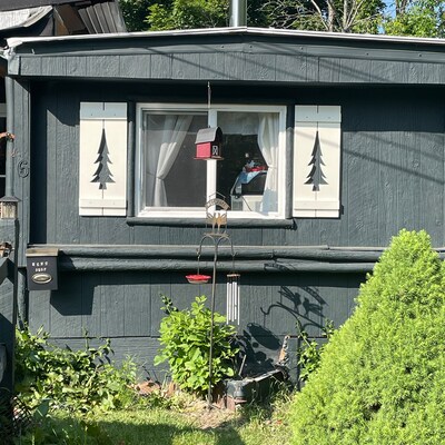 PVC Palm Tree Exterior Shutter: Customize Your Shutter Height - Etsy