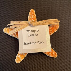 Brown Turkey Wing Seashells Ark Shells Arca Zebra Coastal | Etsy