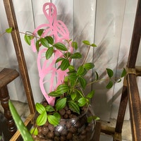 Plant Trellis Cebu Blue Pothos Plant Art Plant Decor - Etsy Canada