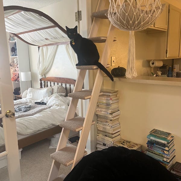 Cat Ladder 7 Step Beech Hardwood Handcrafted High-quality Ladder for ...