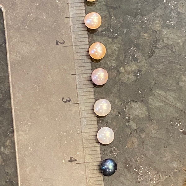 Open an Oyster With Pearl Natural Color Akoya Saltwater Oyster, Pick a ...