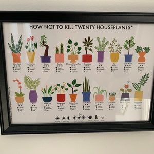 British Wildlife A-Z Poster A4/A3 Animals Print Gift, Children's ...