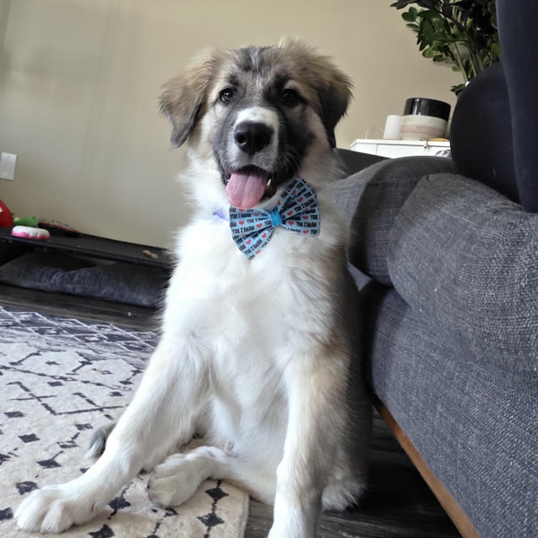 Red Tartan Dog Bow Tie, Plaid Bow for Dog Collar, Christmas Dog Bowtie ...