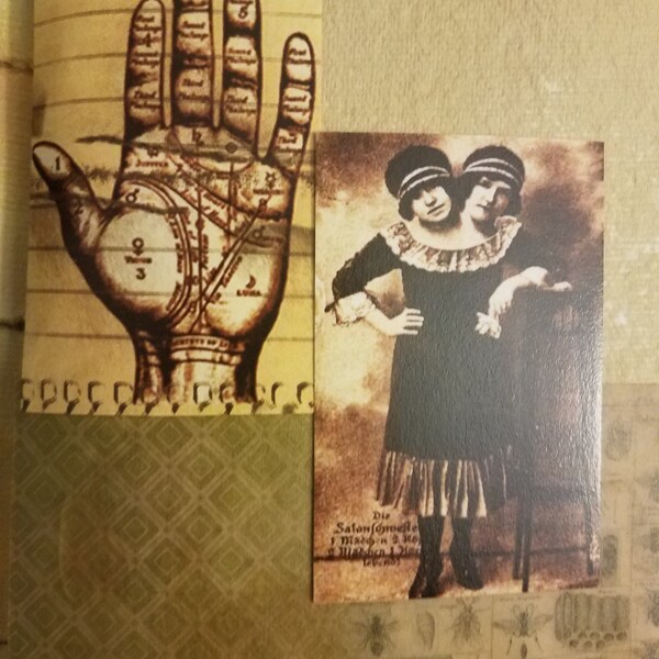 15 Pcs. MACABRE LABELS Reproduction Vintage Labels, Halloween Anatomy ...