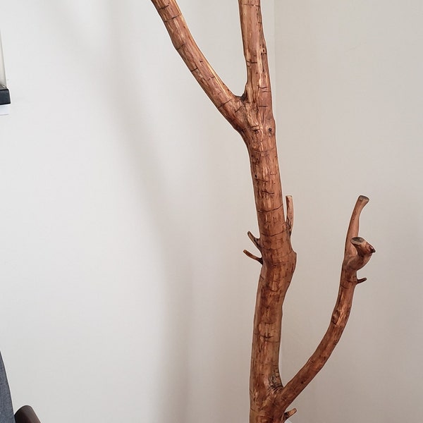 Free Standing Wooden Rustic Olive Tree Table Lamp - Etsy