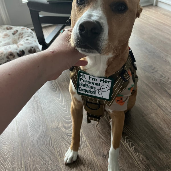 Personal Healthcare Companion Patch - Etsy