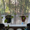 Window Shelves Clear Various Sizes Clear Window Shelf Custom Window ...