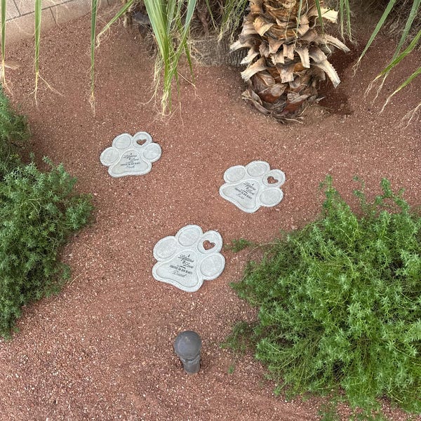 My First Tackle Box Personalized Playset, Children's Toys, Kids Play ...