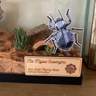 Wooden LEOPARD GECKO Zoological Species Sign Full Color Reptiles Ball ...