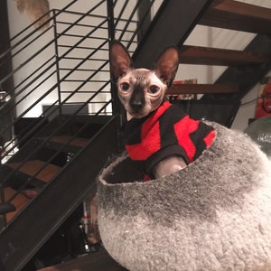 Kotomoda Shower Caps for Sphynx Cats and small pets 20pcs in a | Etsy