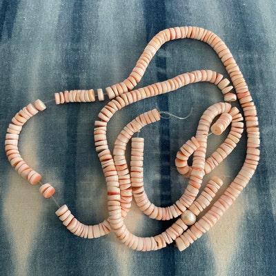 Multicolored Graduated Pectin Shell Heishi Beads 16 Inches - Etsy