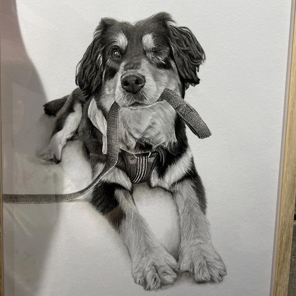 Custom Pet Portrait, Pet Memorial, Gifts, Dogs, Dog Drawing, Charcoal ...