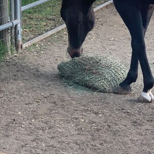 Slow Feed Hay Net for Over Your Hay Basket Saves Your Hay. - Etsy