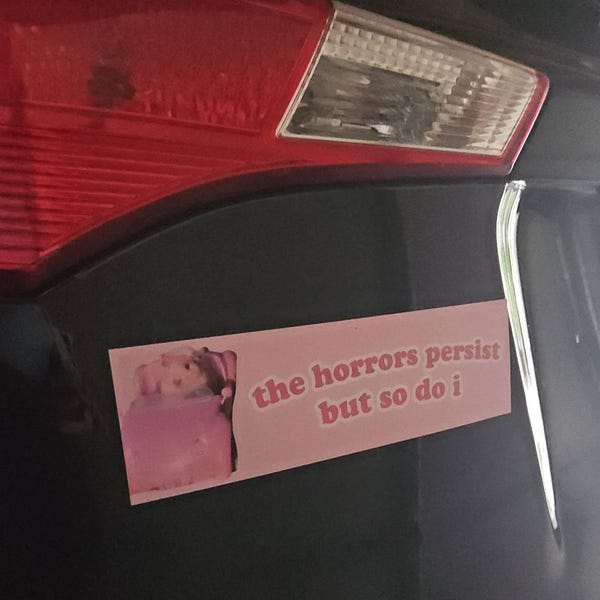 Silly Cat Meme Car Warning Sticker | Cute Kitty Caution Airbag Label ...