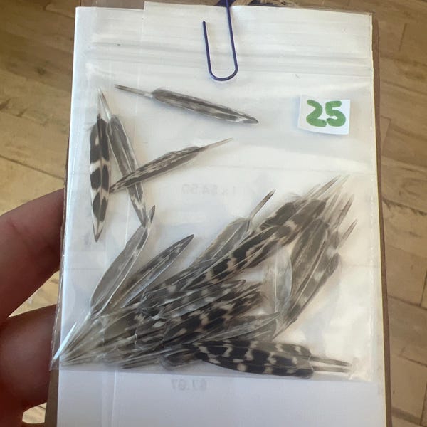 50 Bobwhite Quail Body Feathers 3/4 to 1 3/4 - Etsy