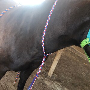 Bit Hobble Curb Strap Chinstrap Horse Tack Paracord Horse | Etsy