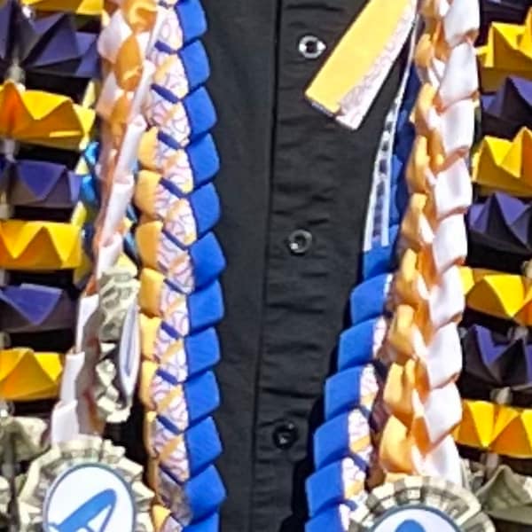 Baseball Ribbon Lei –you Pick Colors! Graduation Lei Senior Night MVP ...