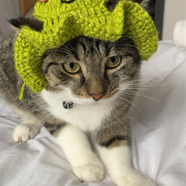 Crochet Frog Hat for Cats - Etsy