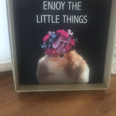 Happy Hedgehogs Retro Fun Styled Print Dance and Manifest - Etsy