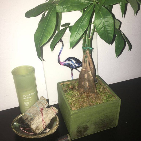 Moon and Sun Panthers Art Print, Watercolor 8x10 - Etsy