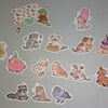 Feline Friends Sticker Set of 4 / Cat Meme Stickers / Kitten Stickers ...