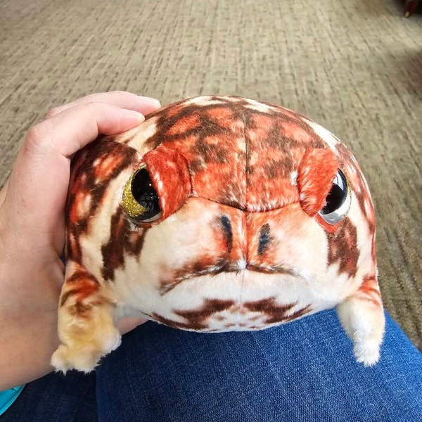 NEW Rain Frogs Grumpy Frog Mini Plushie Stuffed Animals - Etsy