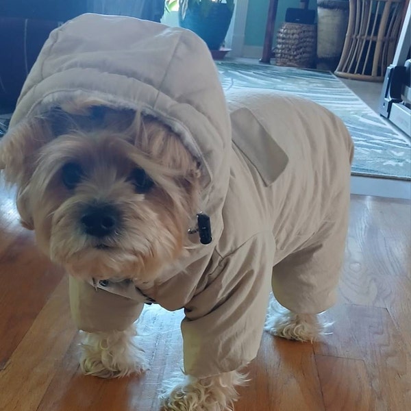 French Beret Hat, Hat for Dog, Dog Hat, Dog Beret, Dog Costume, Pet ...