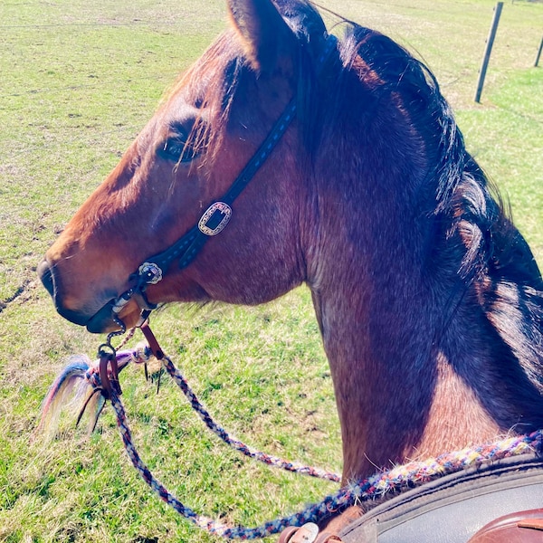 Custom Slot Ear Headstall With Buckstitching - Etsy