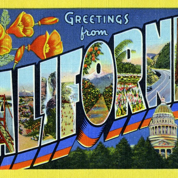 25 Beautiful Vintage Flower Seed Packet PNG Clipart Bundle Scrapbooking ...