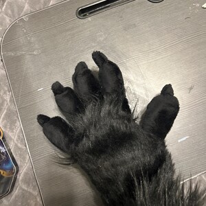 5-finger Webbed Handpaw Pattern - Etsy