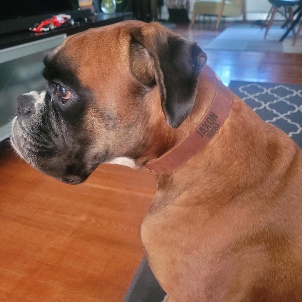 Personalized Distressed Leather Toiletry Bag for Men the Alafia by Left ...