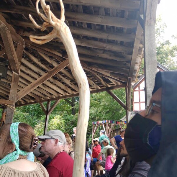 Unfinished Cane - Etsy