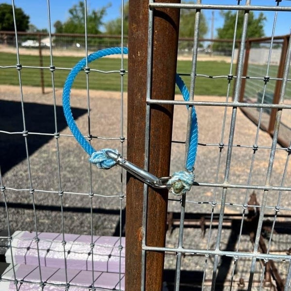 Bucket Hanger, Gate Clip Lariat Rope Clip: Locking Carabiner for Horses ...