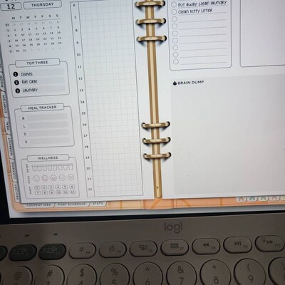 Undated Life Planner, All in One Digital Planner, Undated Digital ...