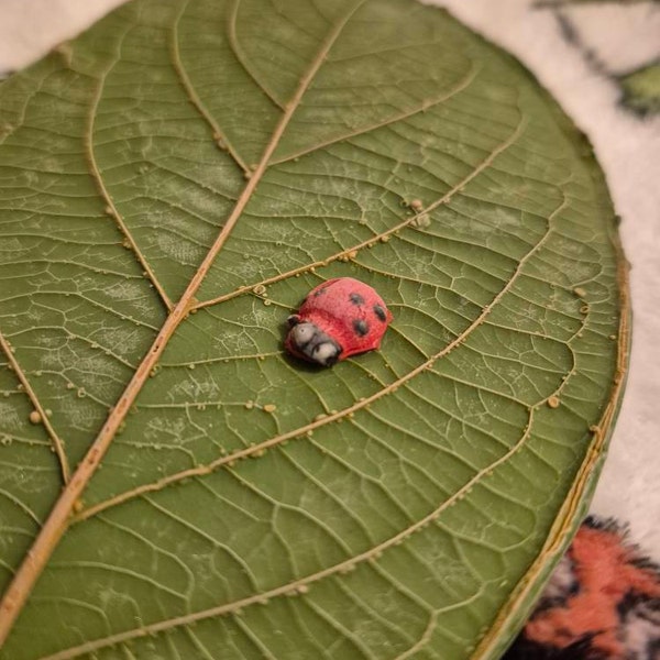 Big Leaf Wallet , Rubber , Gift Birthday, Gift Anniversary , Christmas ...