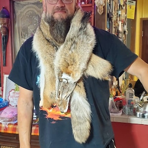 XXL Blue Frost Fox Hide 1 Top Lot Grade, Professionally Tanned/pelt ...