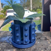 Unique 3D Printed Plant Pot Ideal for Indoor Display, Succulents ...