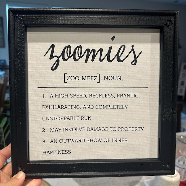 Zoomies, Home Decor, Dog Decor, Cat Decor, Pet Decor, Reverse Canvas ...